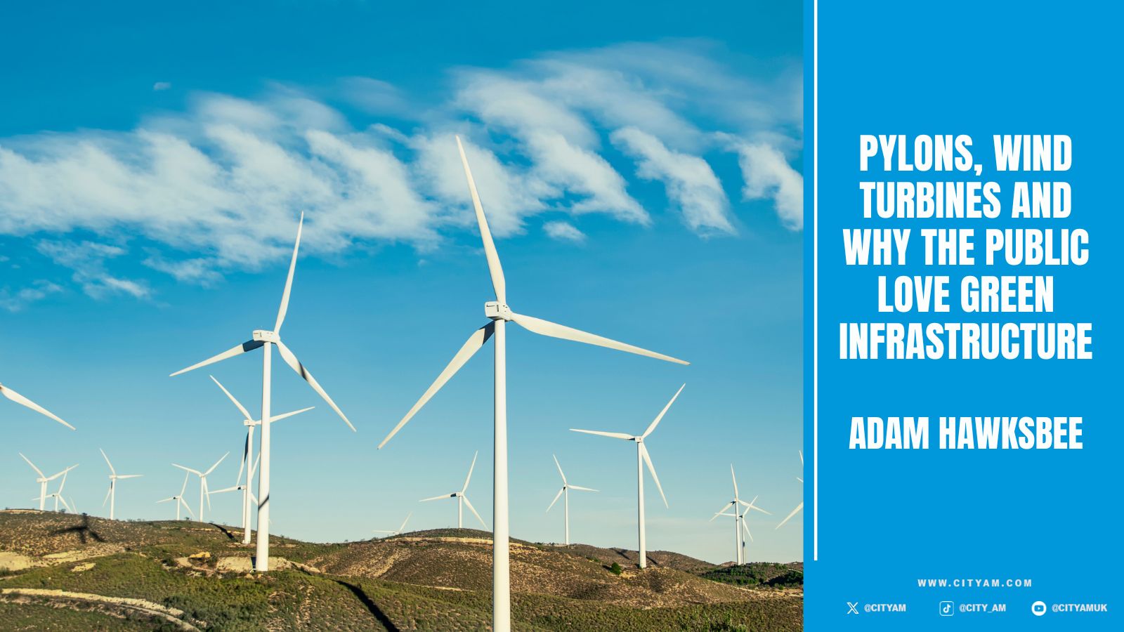 Pylons, wind turbines and why the public love green infrastructure