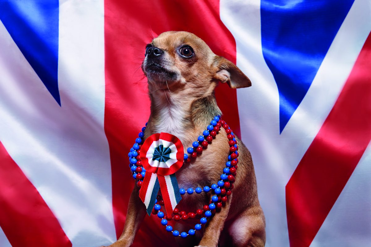 Puppy politics: How does your dog vote?