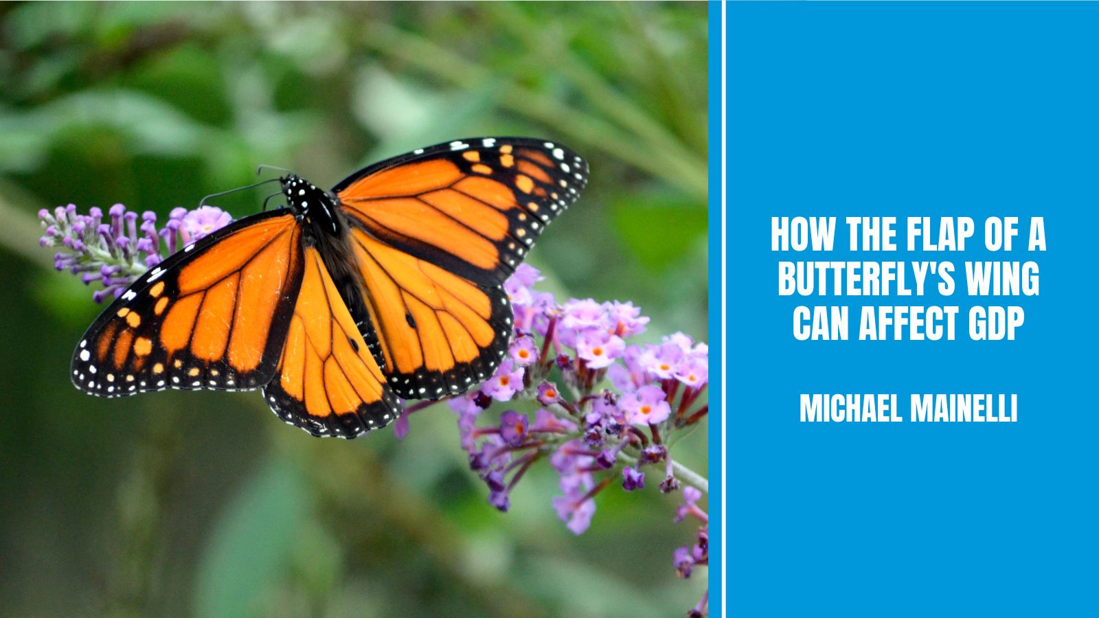 How the flap of a butterfly's wing can affect GDP