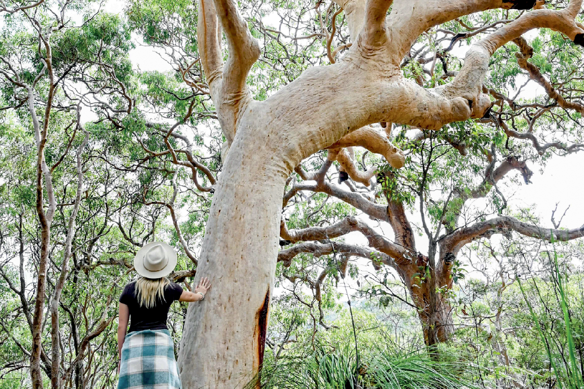 Ancient + Brave: Meet the female-led wellness brand breaking down barriers