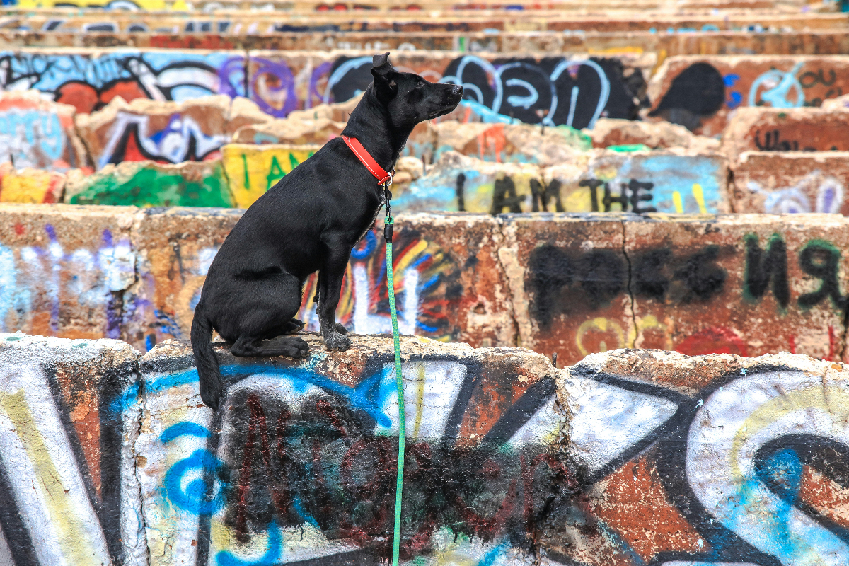Elizabeth Line strikes called off after new pay offer
