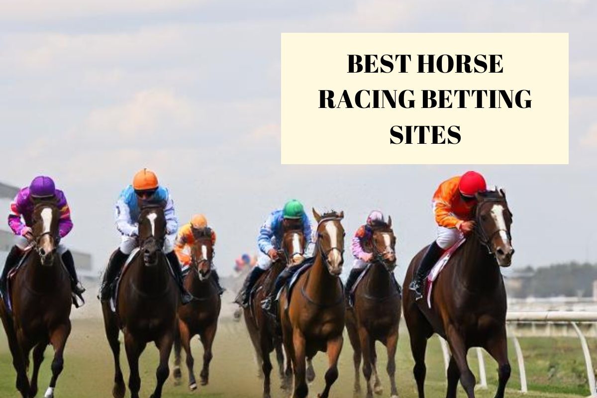 Ranking the best horse racing syndicates in the UK