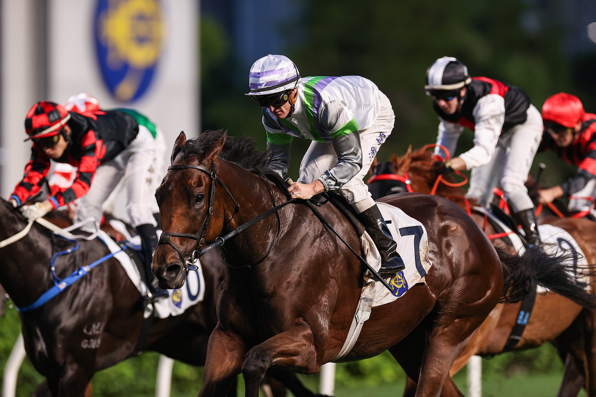 Eustace's Charm can make Light of weights rise to land hat-trick