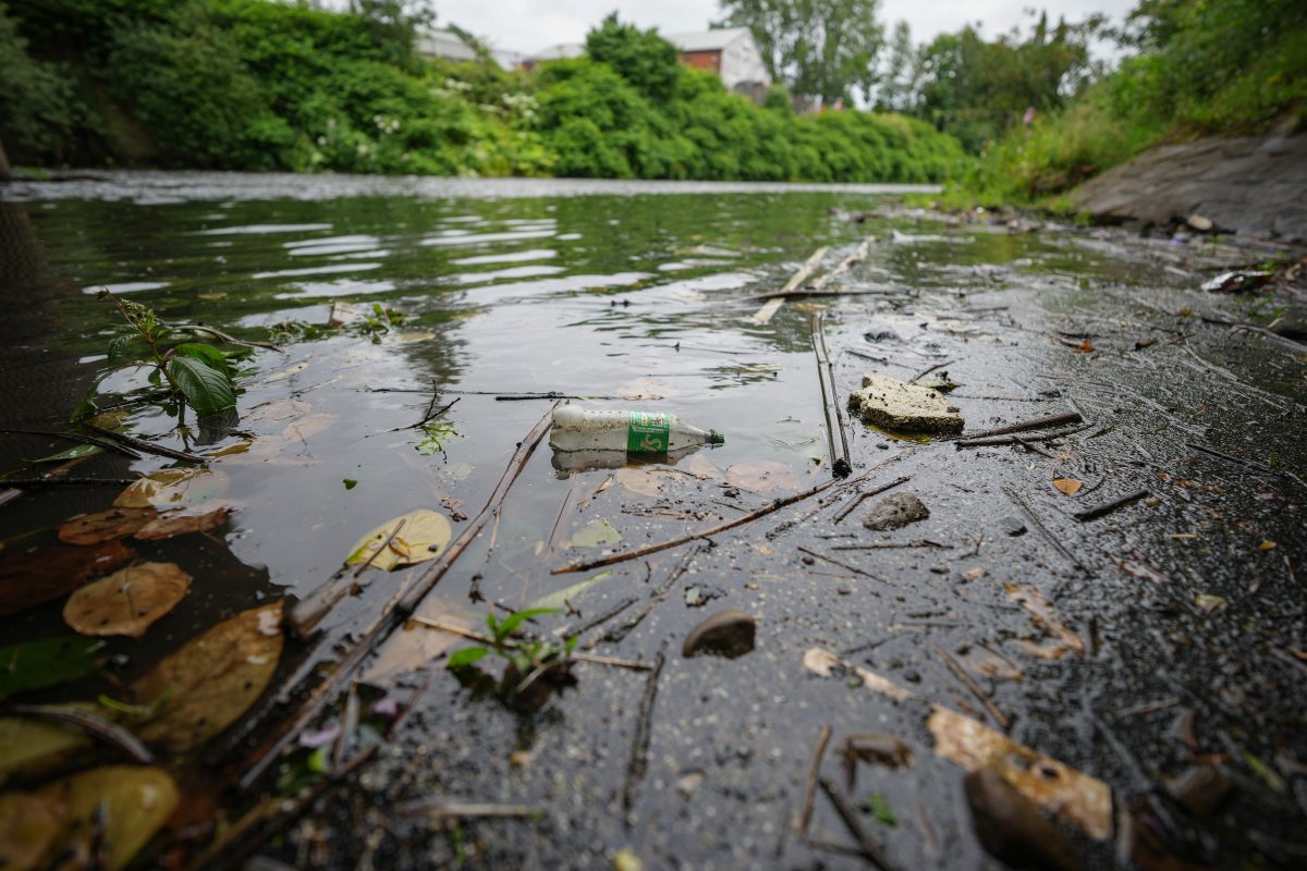Will Labour be our sewage saviour or find themselves up the creek?