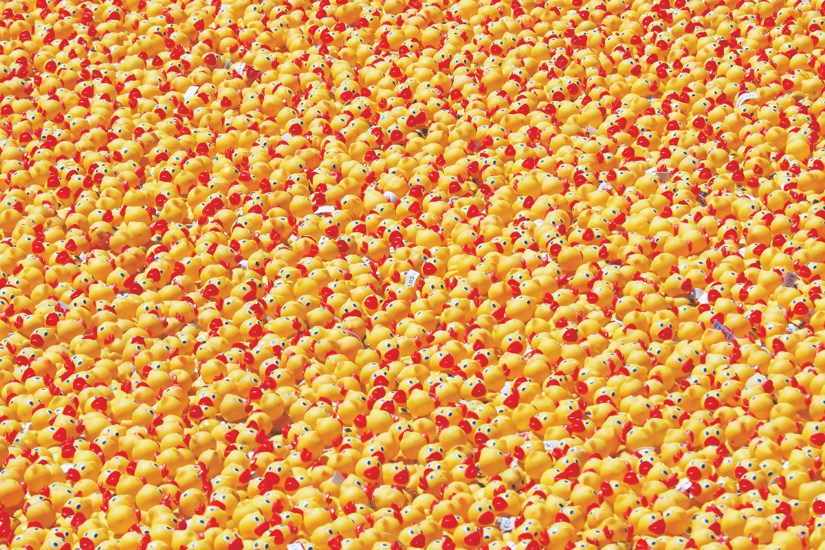 Rubber ducks are everywhere - it's the UK's strangest new trend