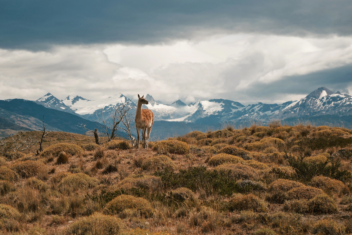 paramount skydance Archives - City AM