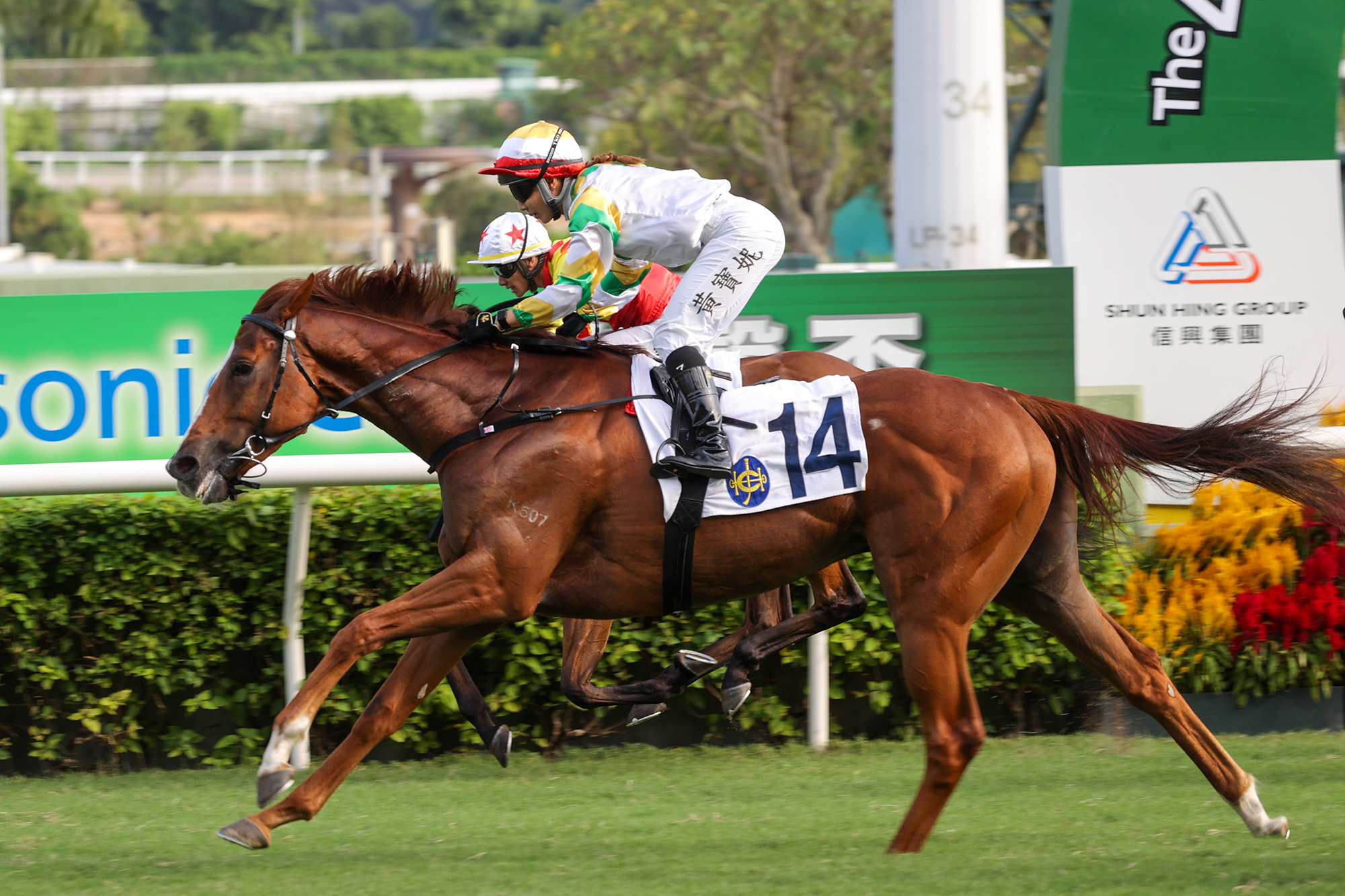 Sagacious Life looks Smart enough for Purton