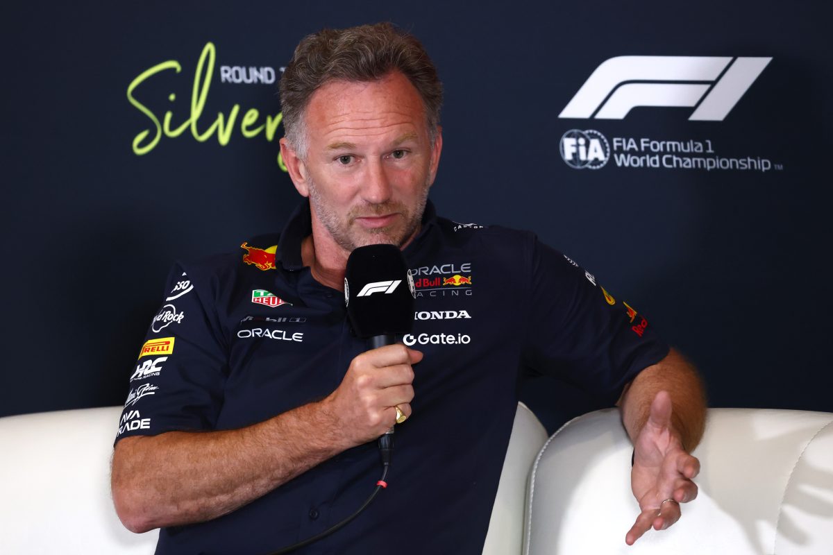 Former Red Bull boss Horner lands job at private equity fund targeting ...