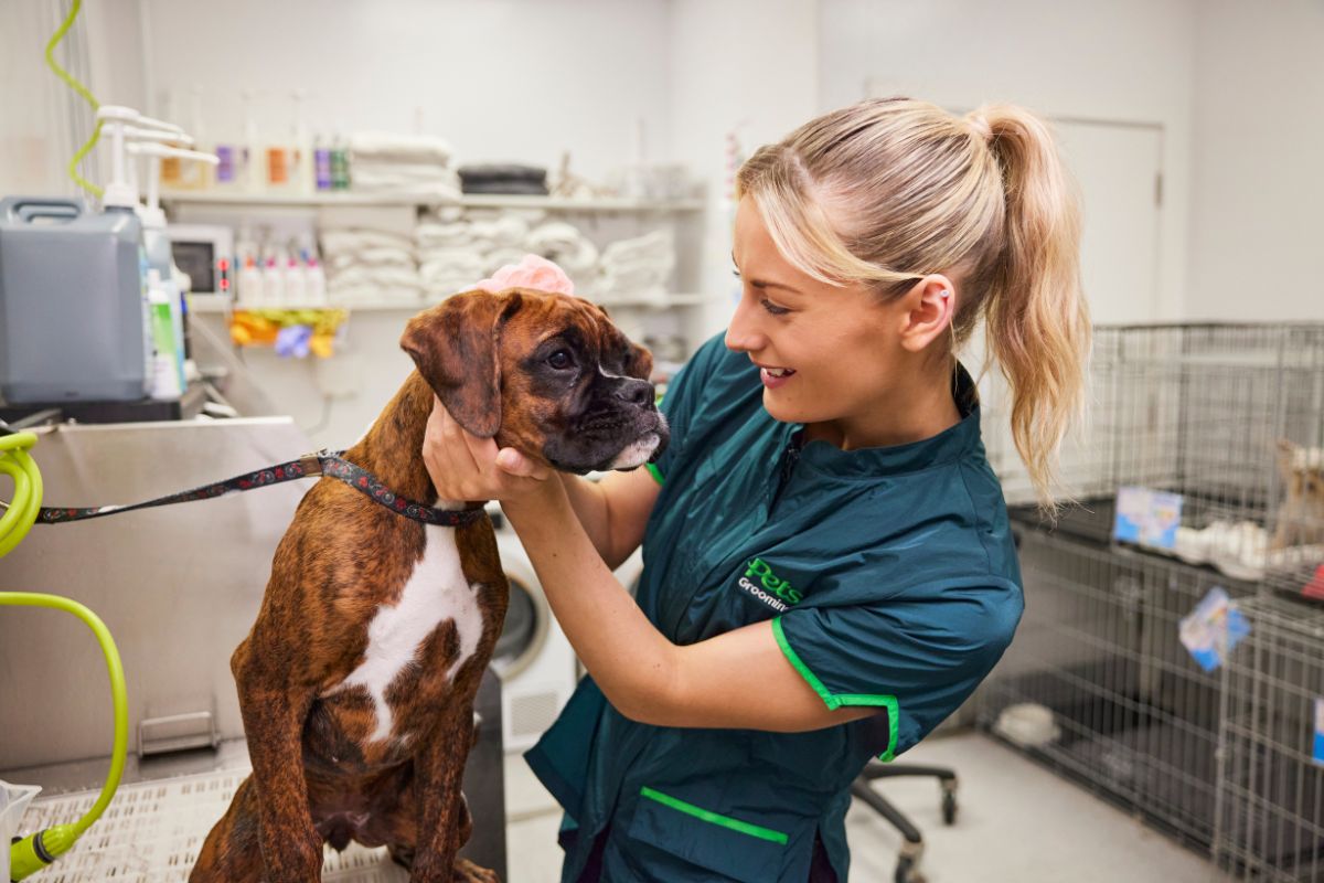 Tractive Launches Next-Generation Health Intelligence for Pets ...