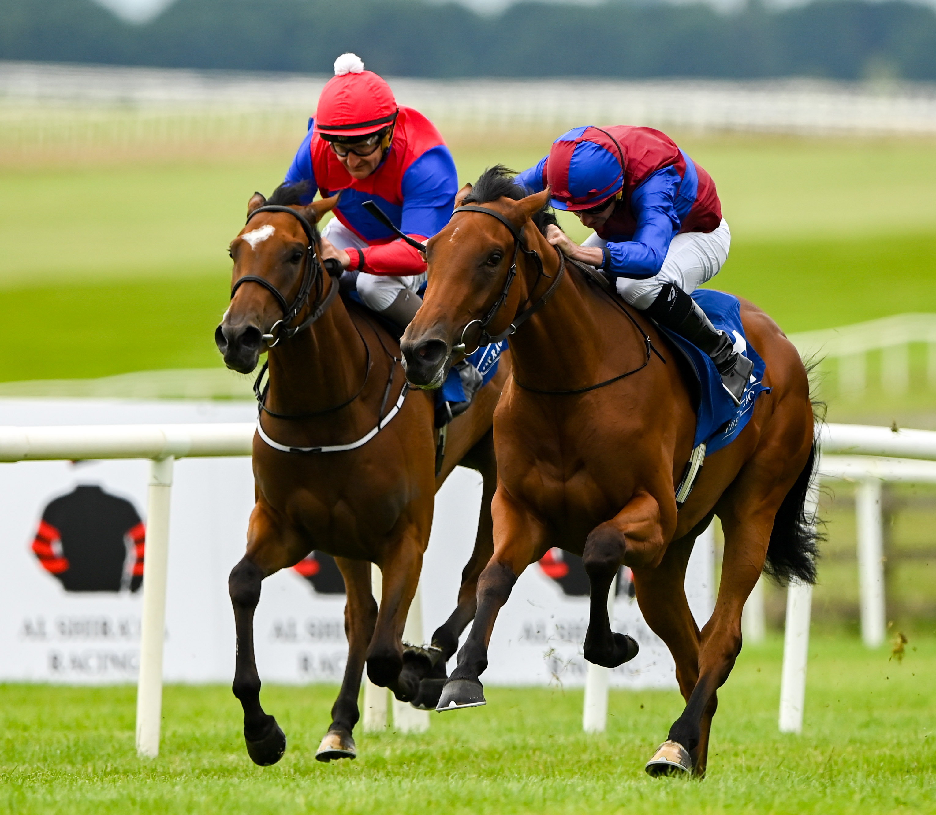 Sweet on Sugar to cause huge 66/1 upset in the Oaks
