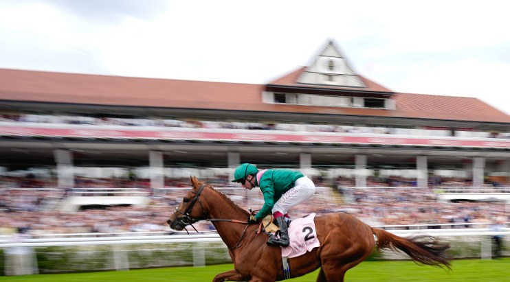 Gali can land the Queen’s Vase for Balding and Murphy